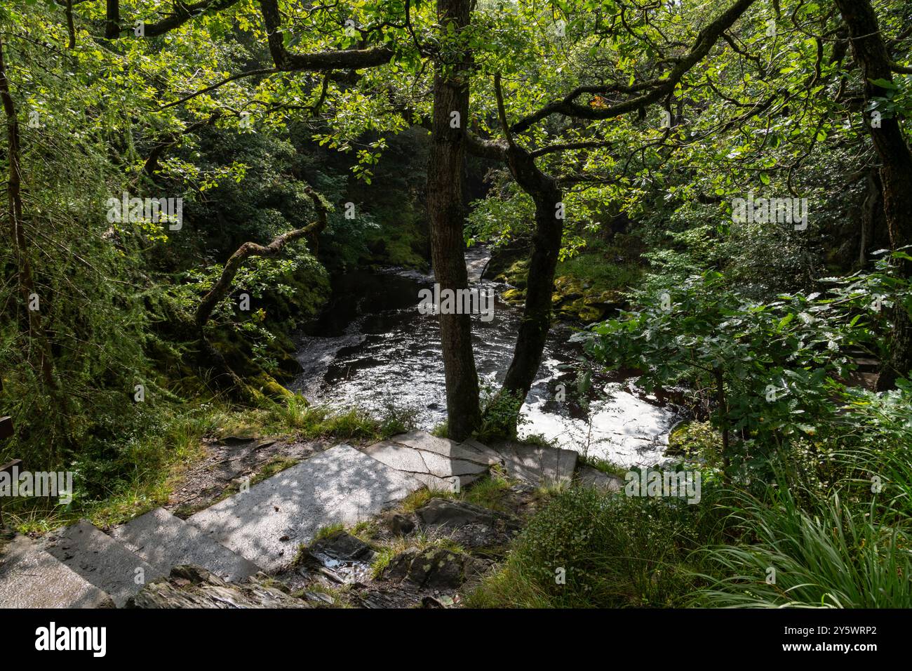 A section of the Ingleton waterfalls walk where the river Doe passes ...