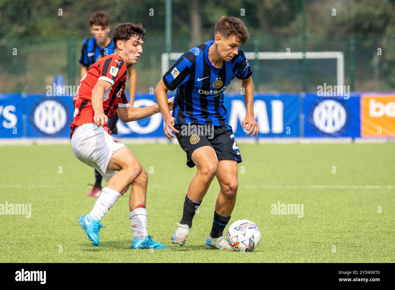Luka topalovic hi-res stock photography and images - Alamy
