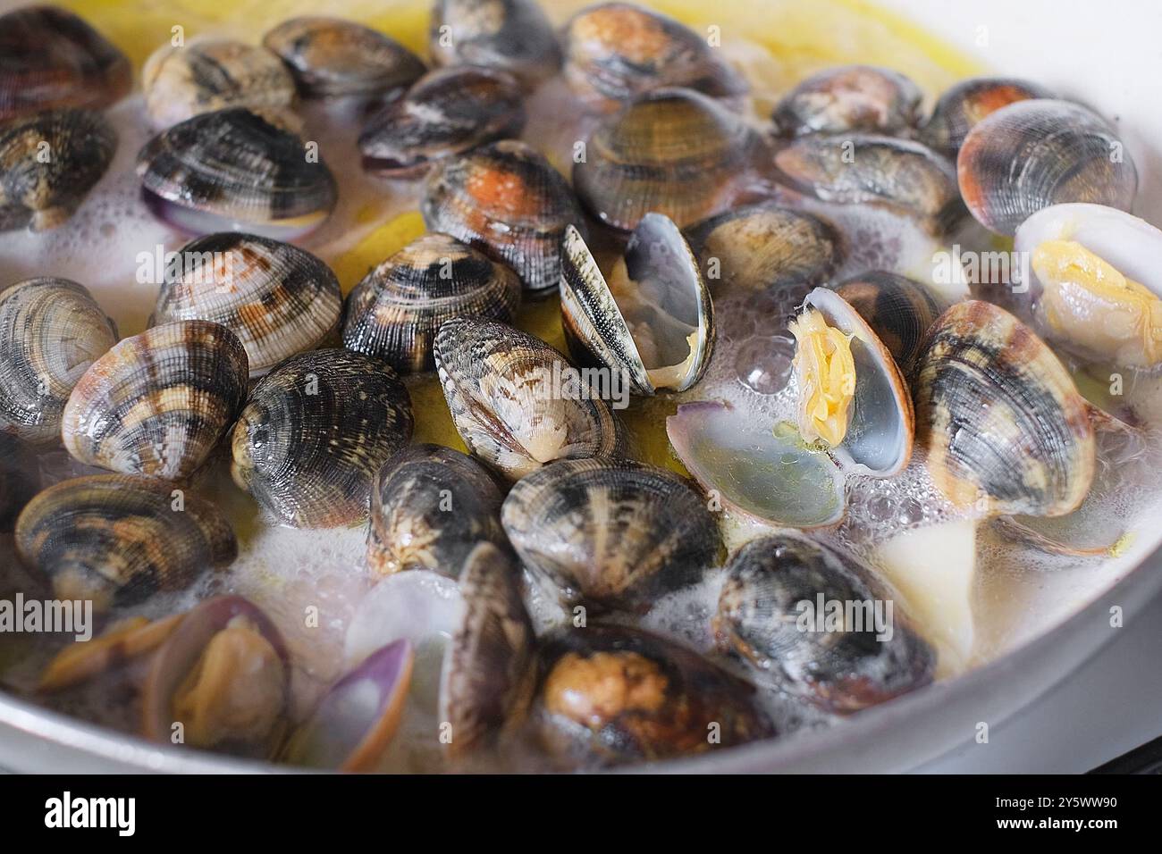 Open and closed clams hi-res stock photography and images - Alamy