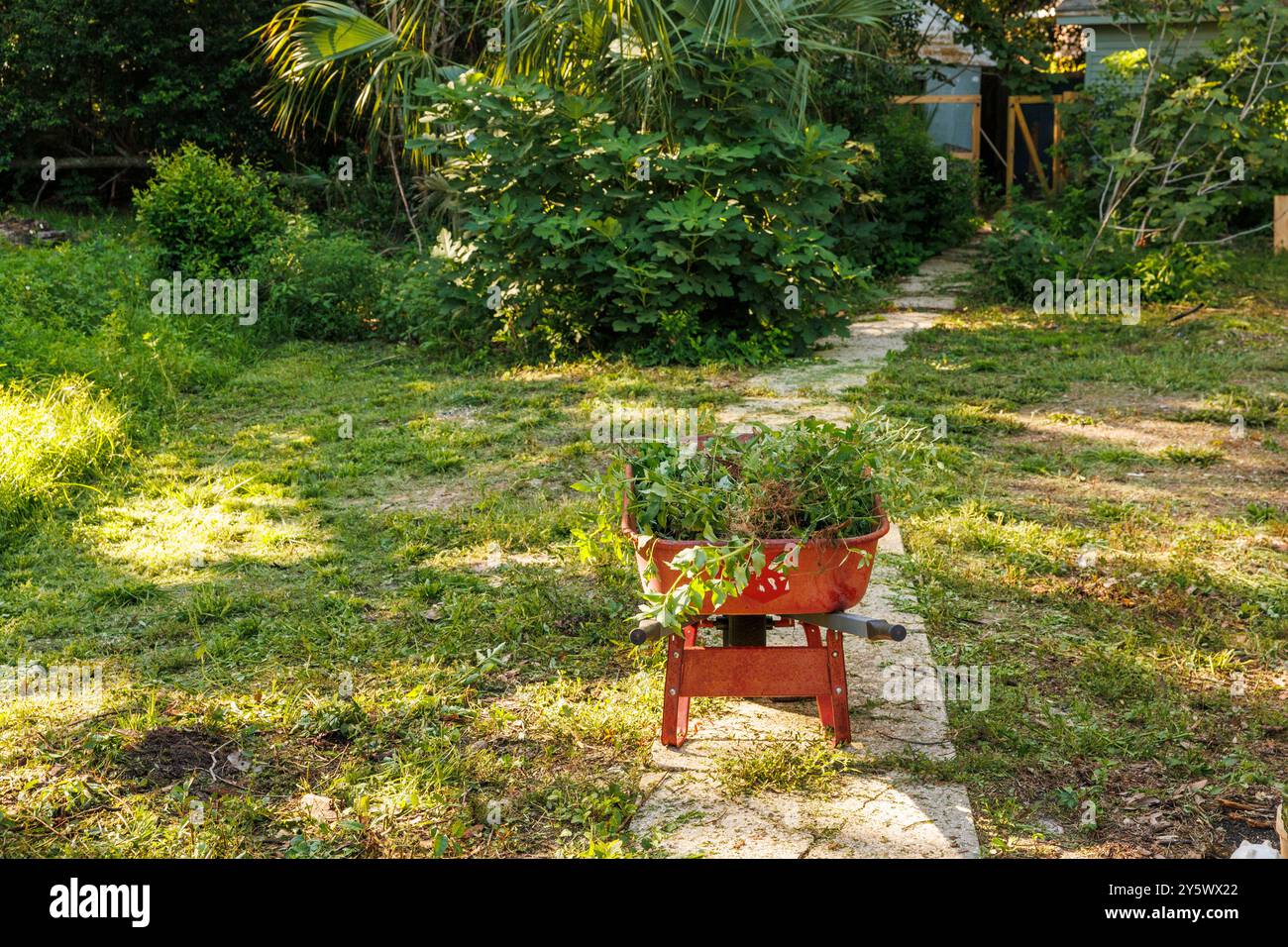 Florida greenery hi-res stock photography and images - Alamy