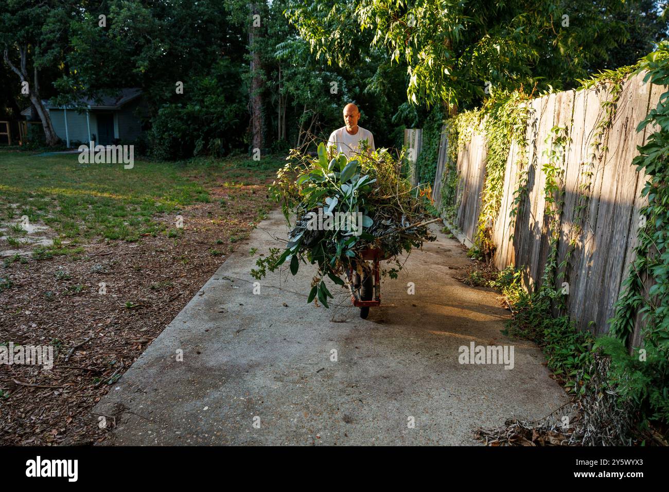 A person walking on a concrete path while pushing a wheelbarrow filled ...