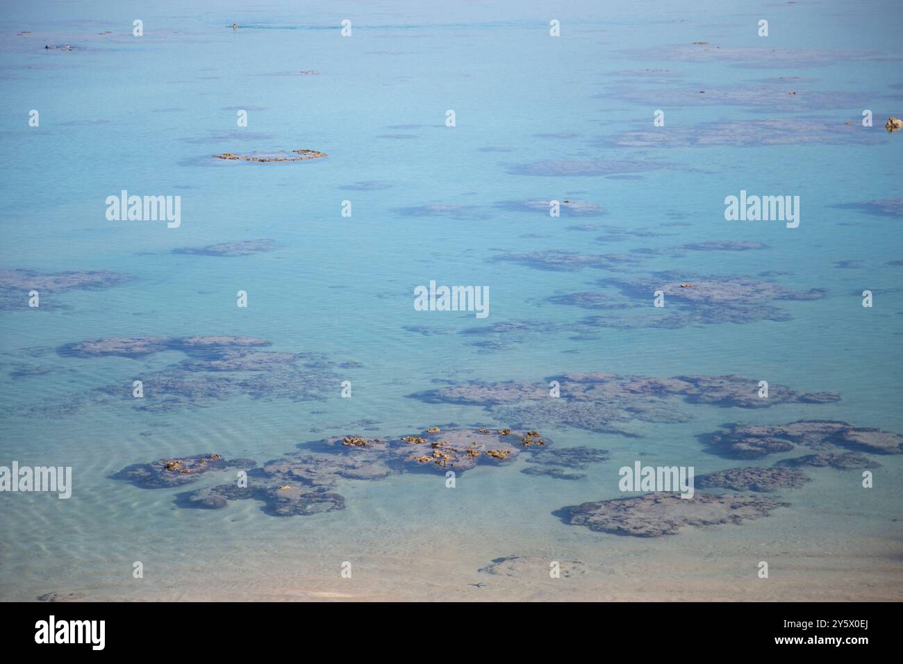 Aerial view of coral reefs in shallow blue tropical waters, Titikaveka ...