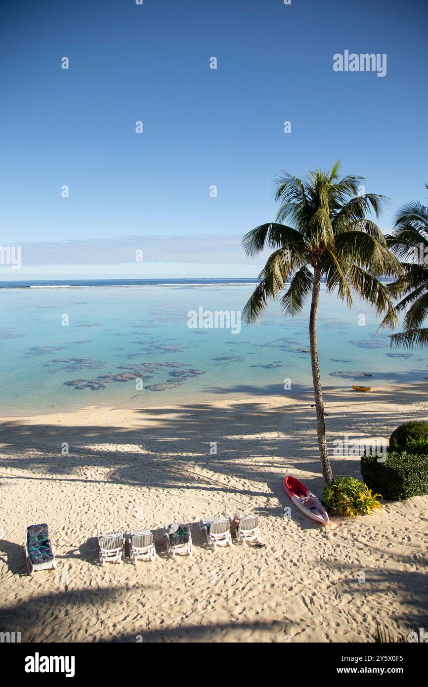 Tropical beach paradise with clear blue sky, a lone palm tree, tranquil ...