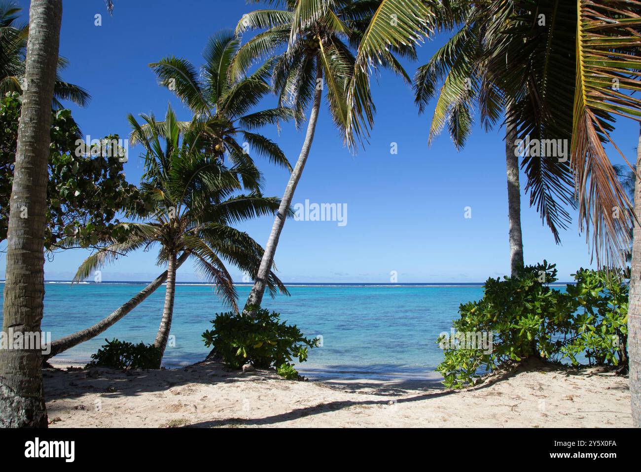 Sunny tropical beach with clear blue sky, turquoise ocean water, and ...