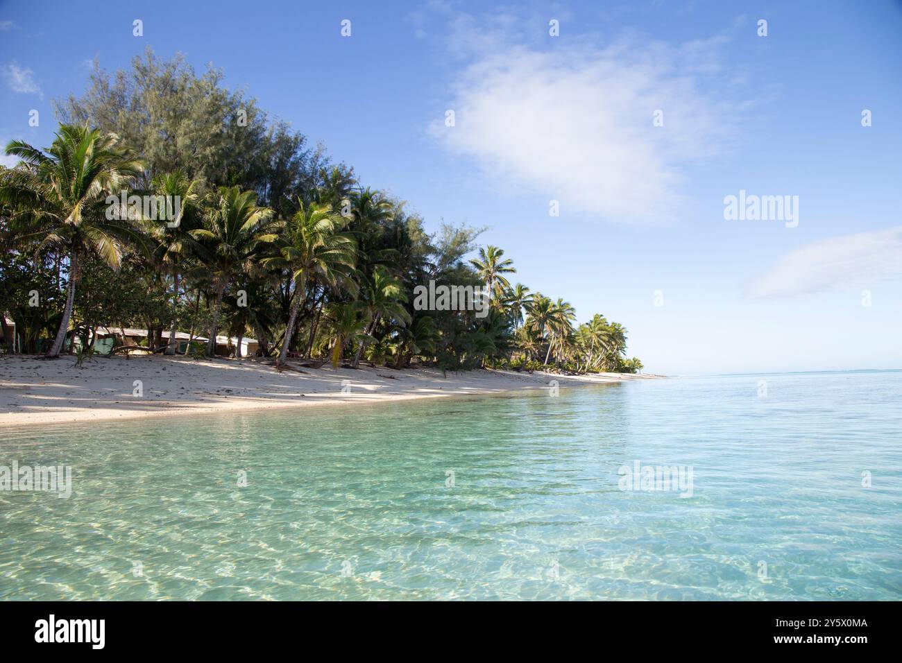 Serene tropical beach with clear blue water, white sand, and abundant ...