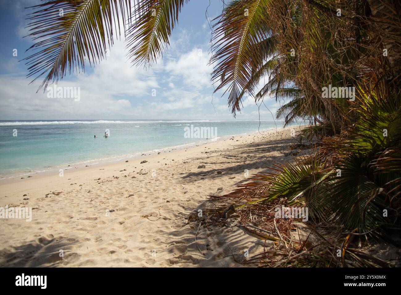 Sandy beach with palm trees overlooking a clear blue ocean where two ...