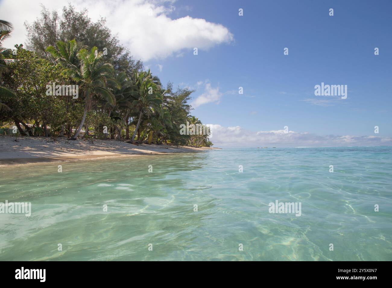Serene sandy beach lined lush hi-res stock photography and images - Alamy