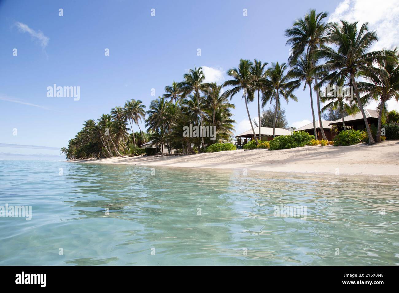 Tropical beach with clear turquoise water and palm trees, with ...