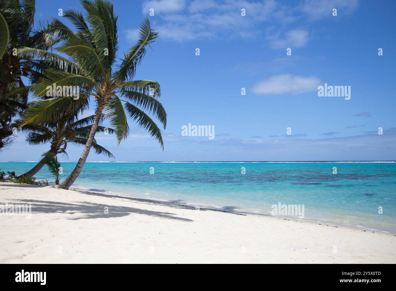 Tropical beach with clear turquoise waters, white sand, and a single ...