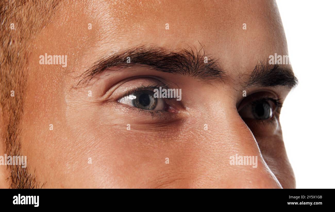 Close-up image of beautiful male grey eyes, eyebrows isolated on white ...