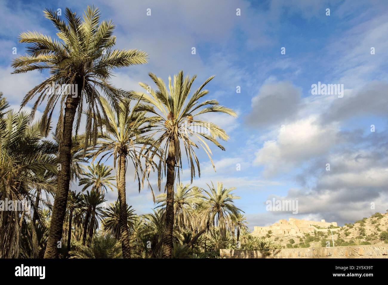 Berber Kasbah, Tioute pueblo, Sous Valley, Antiatlas, Morocco Stock ...