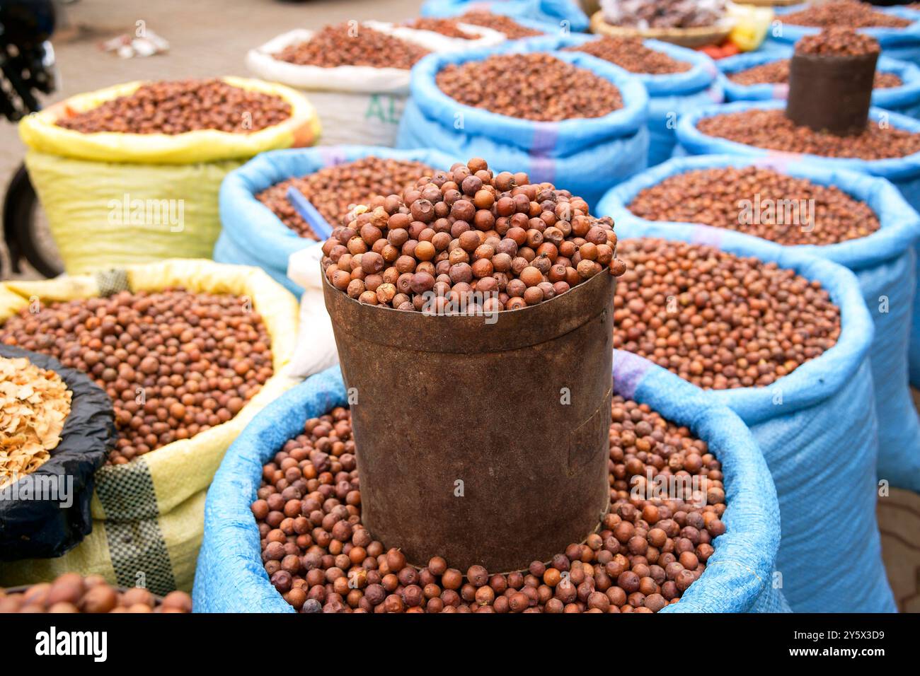 Urban agriculture marrakech hi-res stock photography and images - Alamy