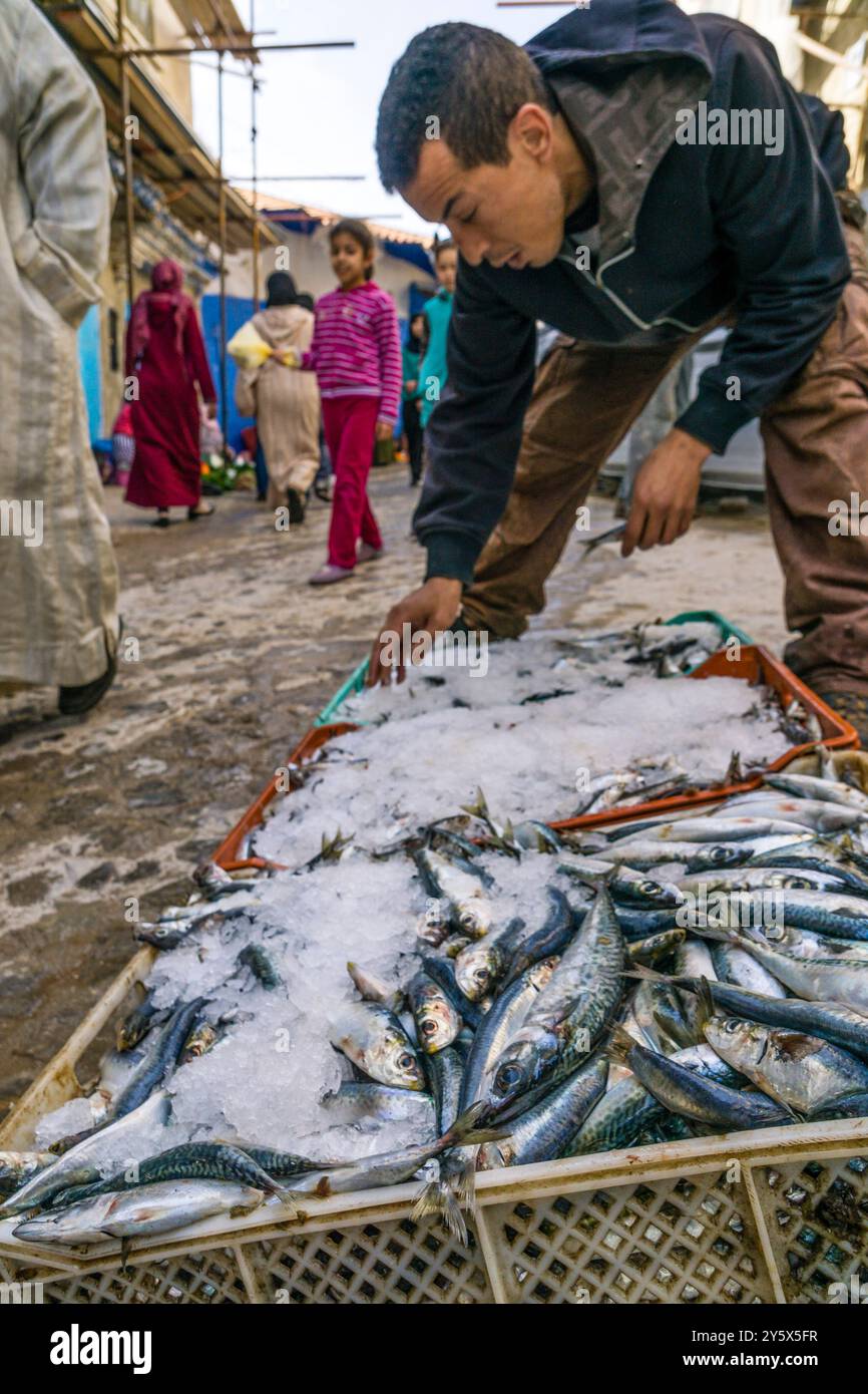 fish trader in the souk, Chefchauen, -Chauen-, Morocco, north of Africa ...