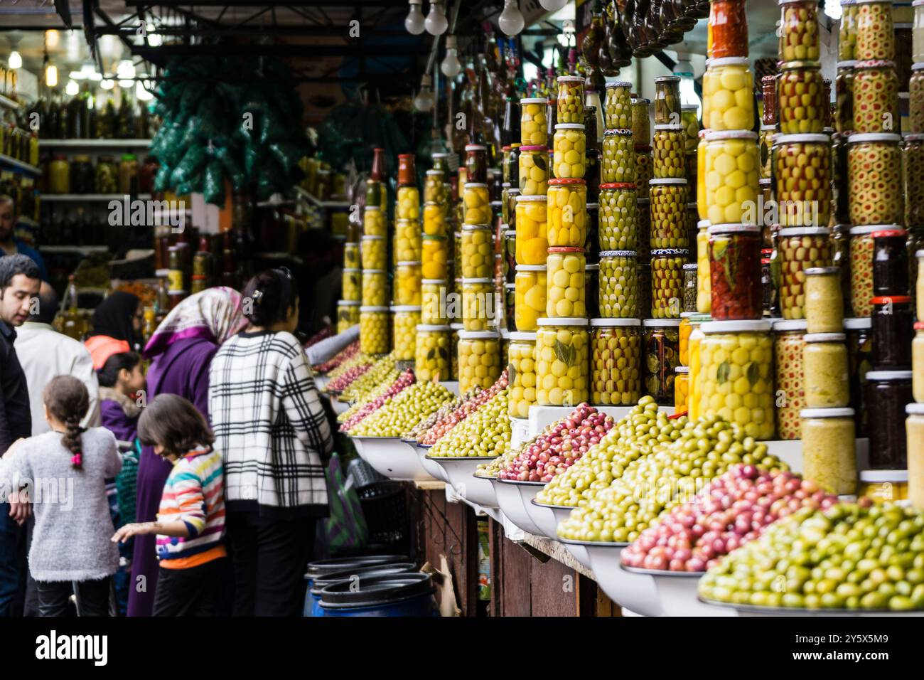 African olive olea europaea hi-res stock photography and images - Alamy
