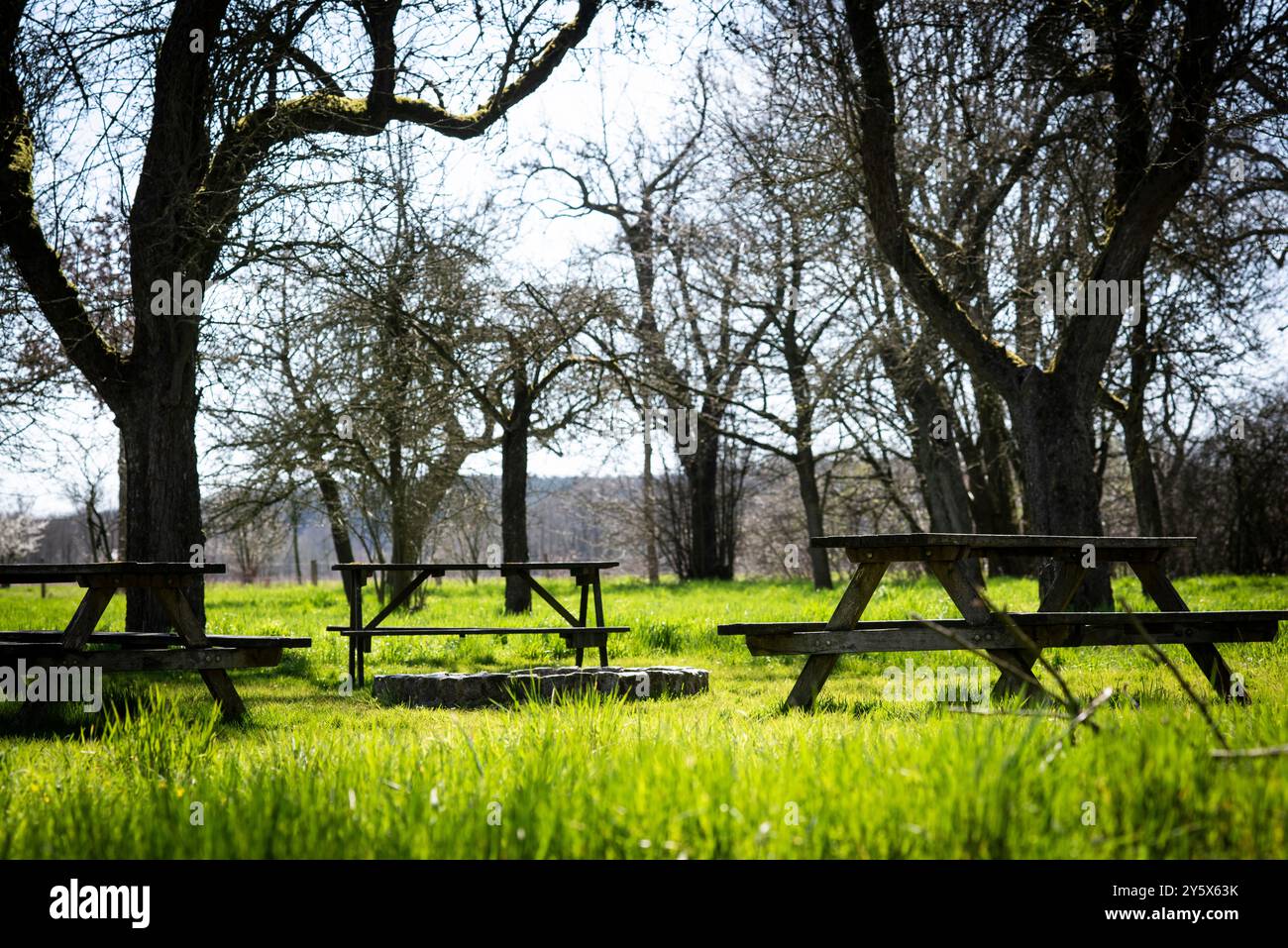 Bank gras hi-res stock photography and images - Alamy