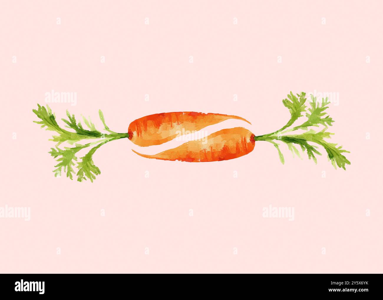 Watercolor painting of a carrot with green leaves on a pink background ...