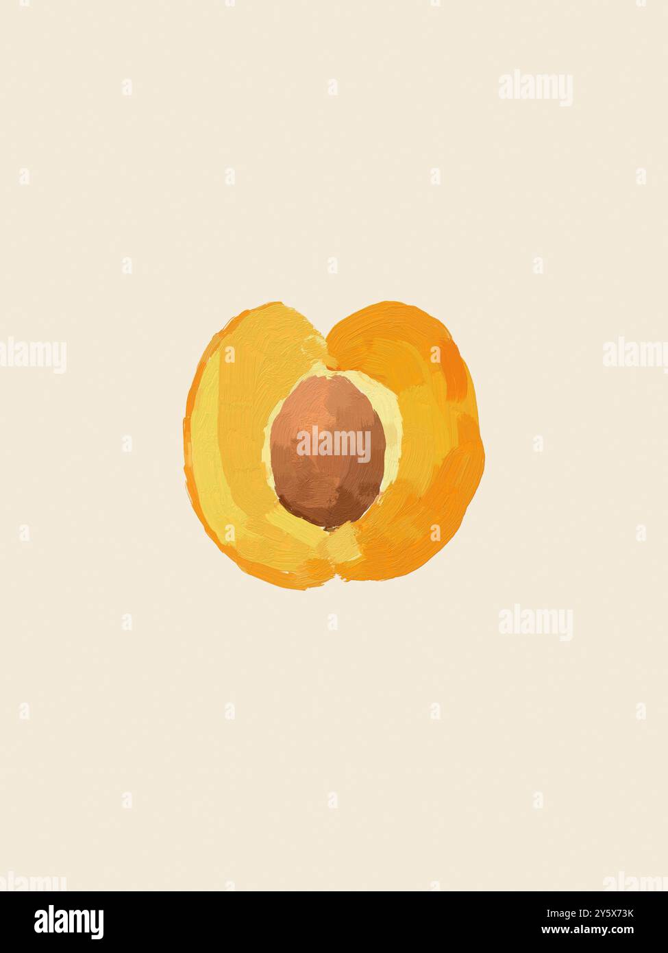 Abstract painting of an apricot cut in half revealing its stone Stock ...