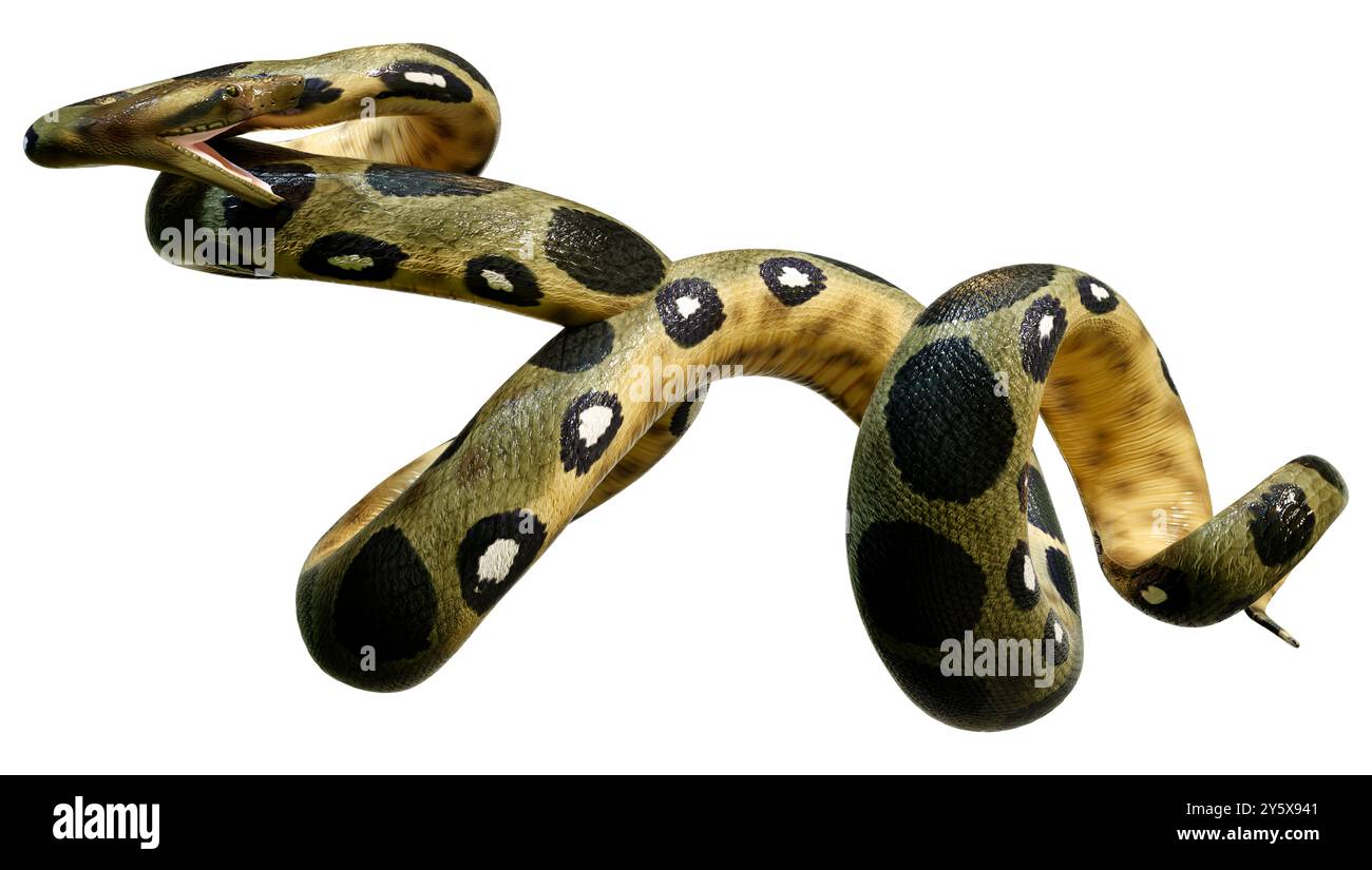 3D rendering of a green anaconda or Eunectes murinus or common anaconda ...