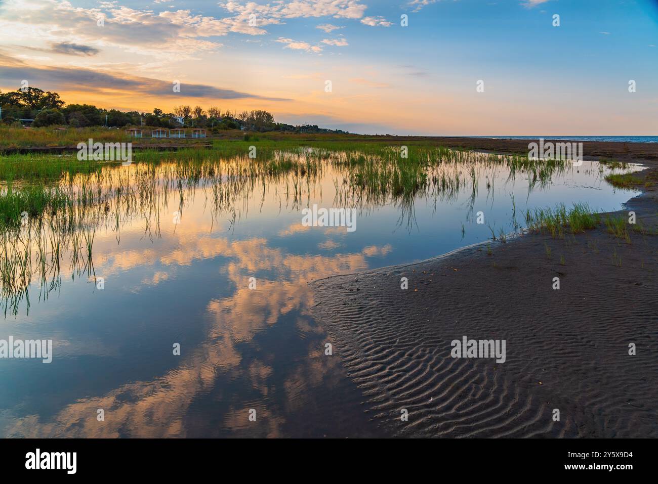 Coastal swamp grass hi-res stock photography and images - Alamy
