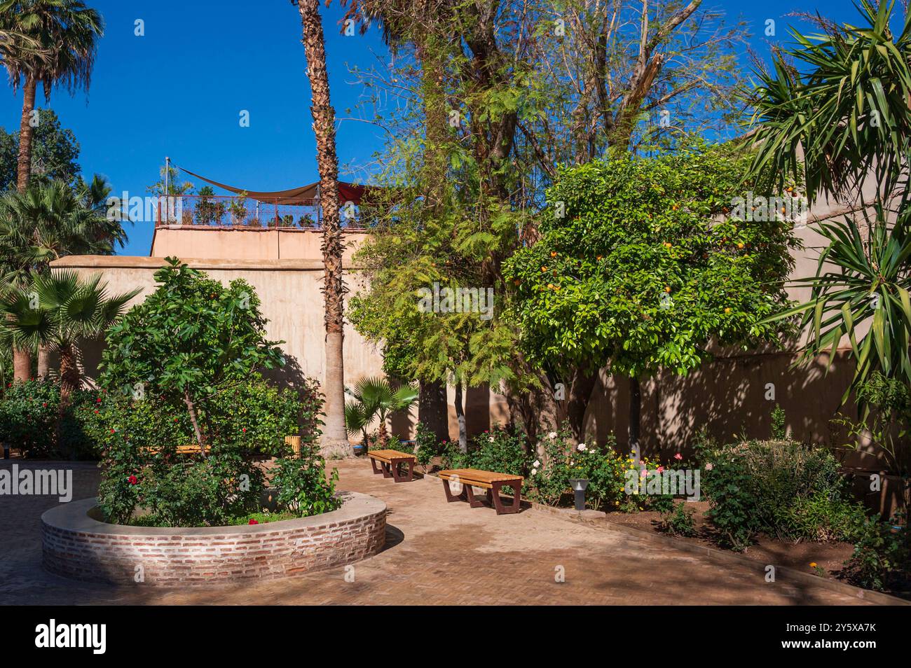 A typical courtyard garden, in Marrakech, Morocco, north Africa. With ...