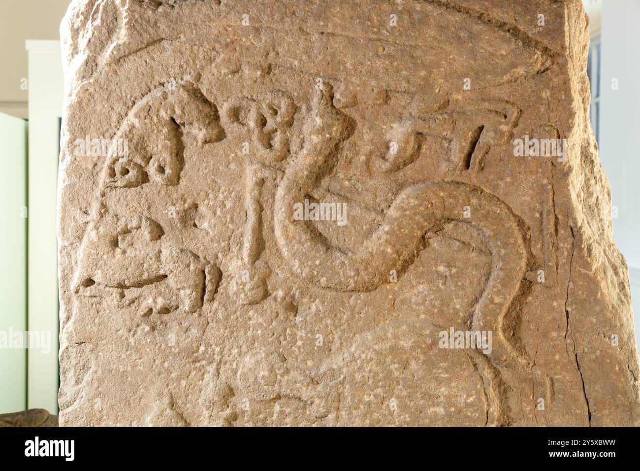Pictish stones on display at Meigle Sculptured Stone Museum, Meigle ...