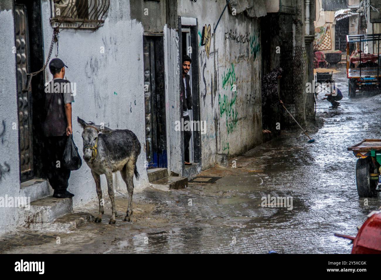 Gaza, Palestine. 22nd Sep, 2024. A displaced Palestinian seen with a ...