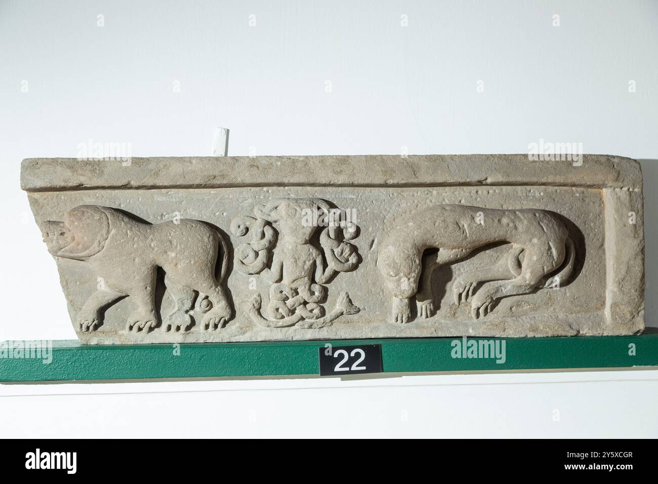 Pictish stones on display at Meigle Sculptured Stone Museum, Meigle ...