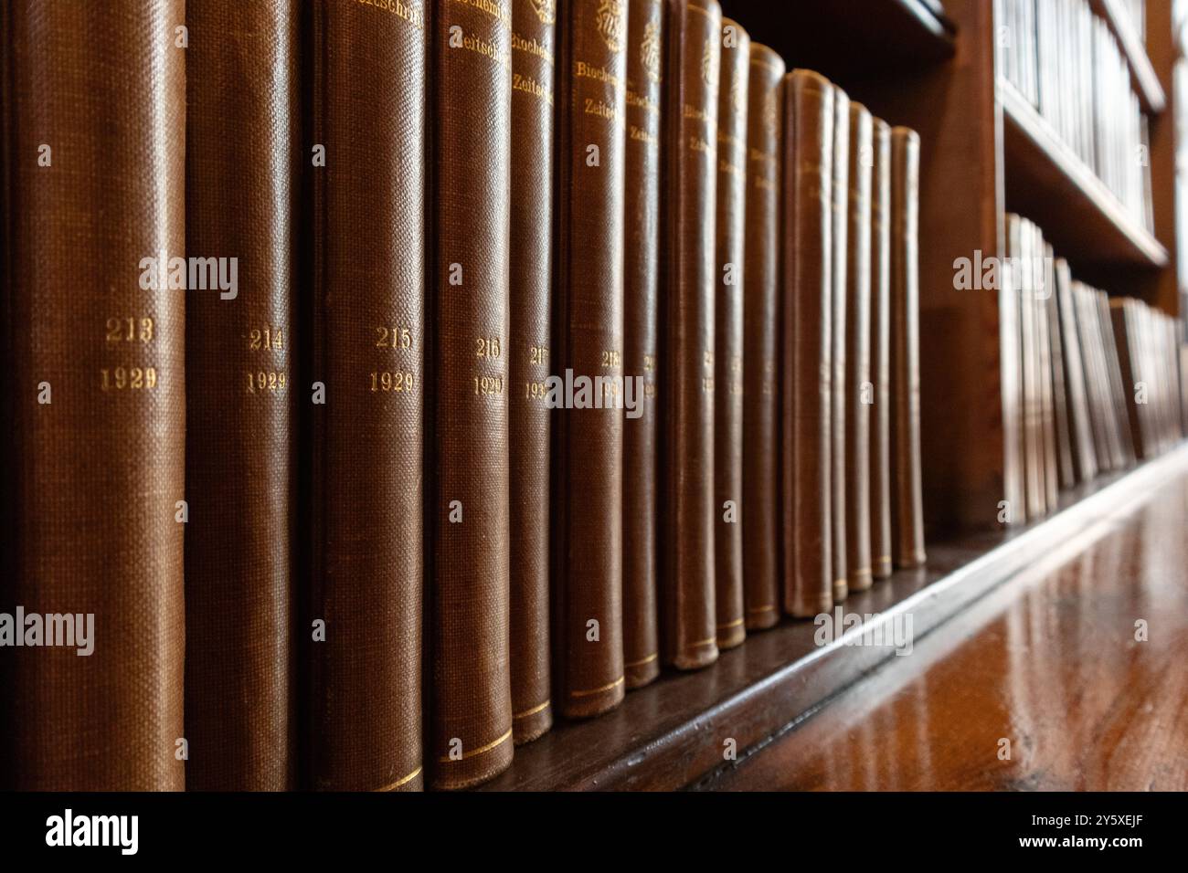 A close-up view of vintage books lined up on a wooden shelf in a ...