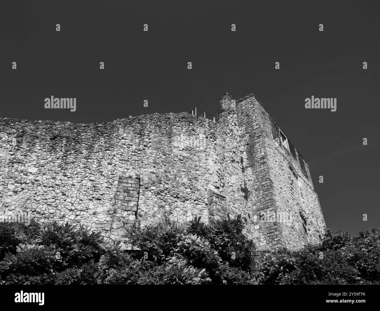 Black and white castle surrey hi-res stock photography and images - Alamy