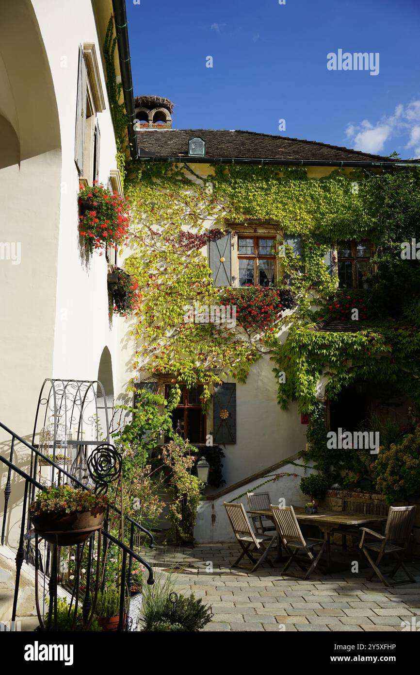 Cosy old house covered in creeping plants photographed on a sunny ...