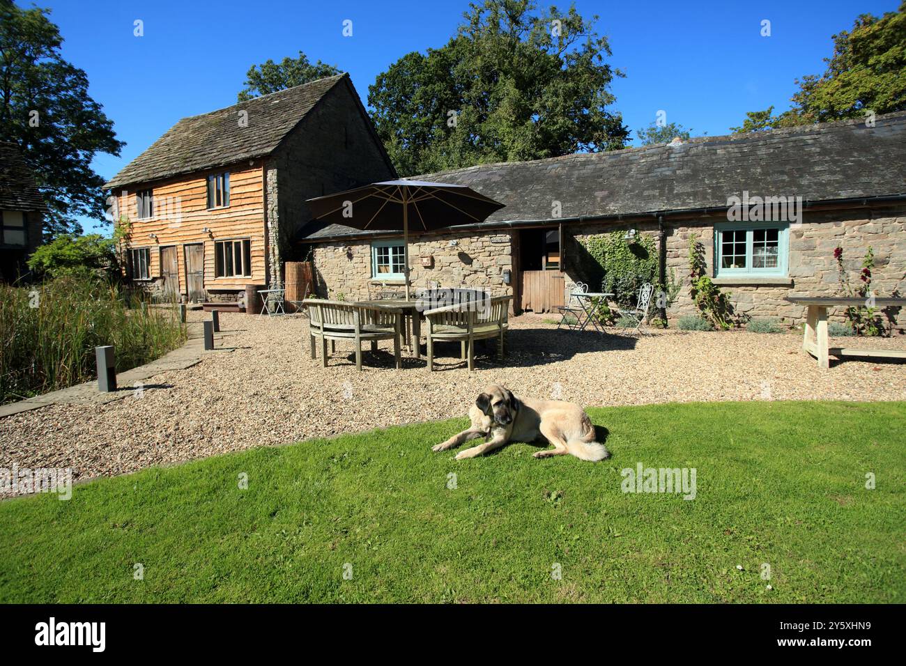 Lyonshall hi-res stock photography and images - Alamy