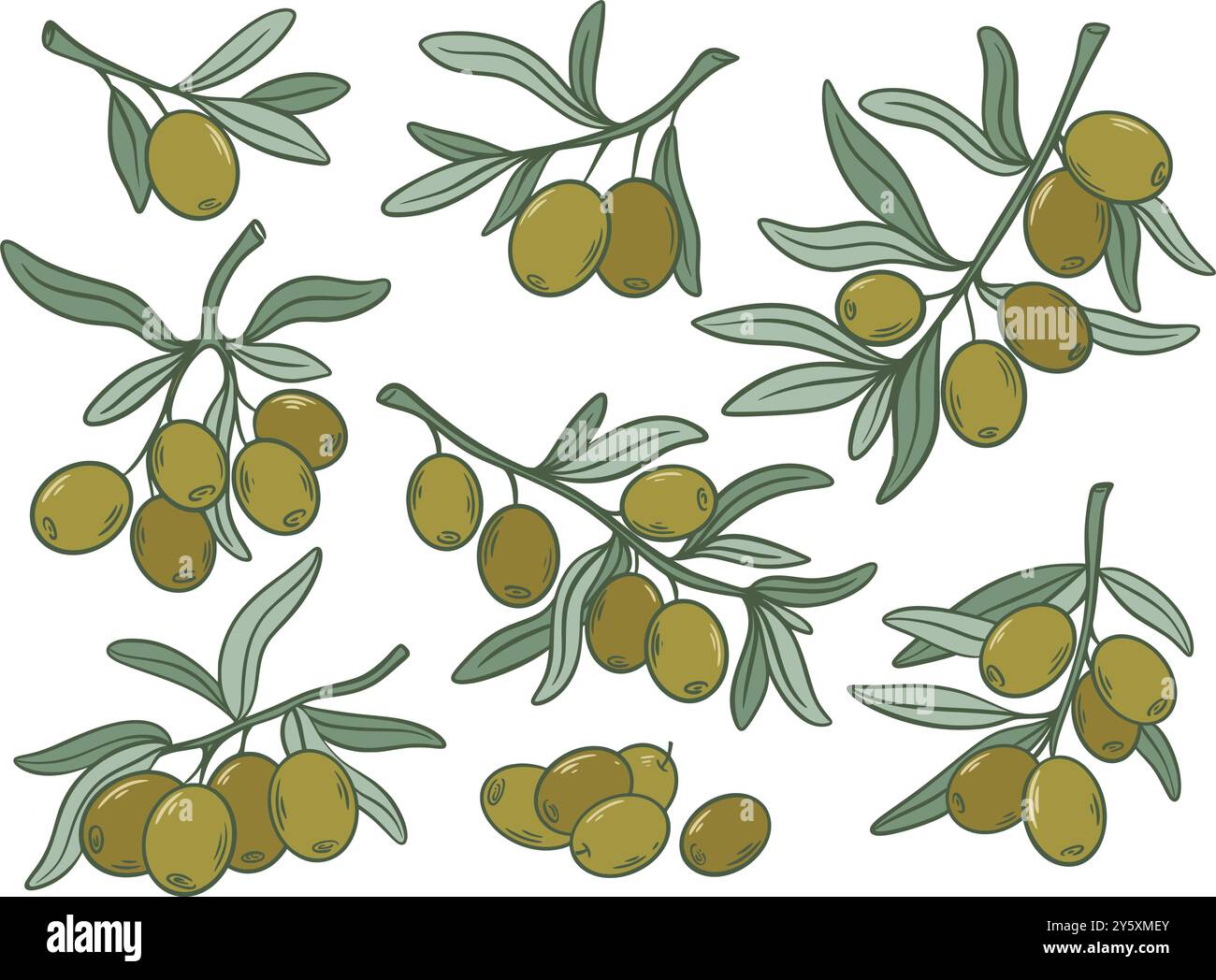 Hand colored in olive green hi-res stock photography and images - Alamy