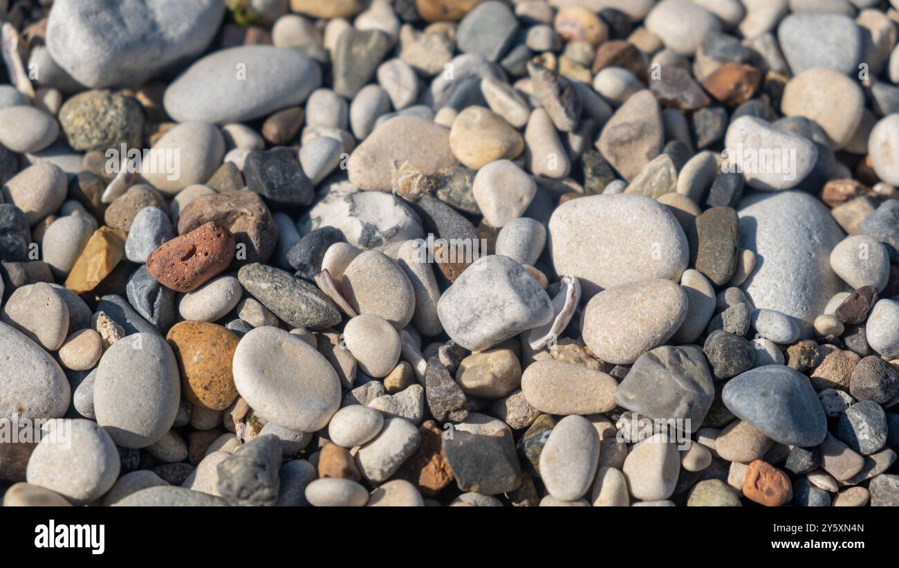 Different sizes and shapes of smooth pebbles are scattered on a sunlit ...