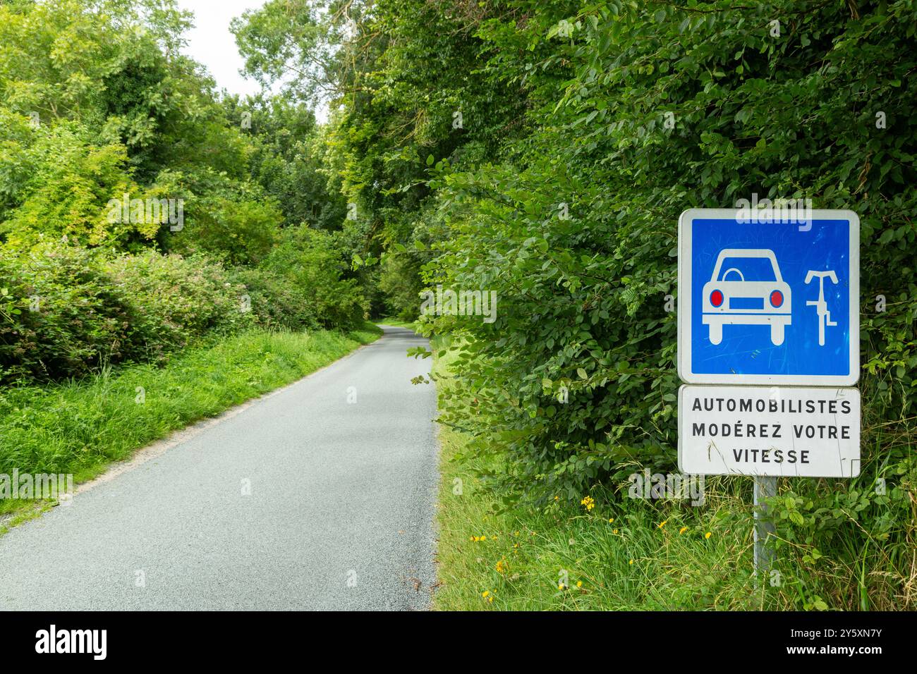 Presence of cycles hi-res stock photography and images - Alamy