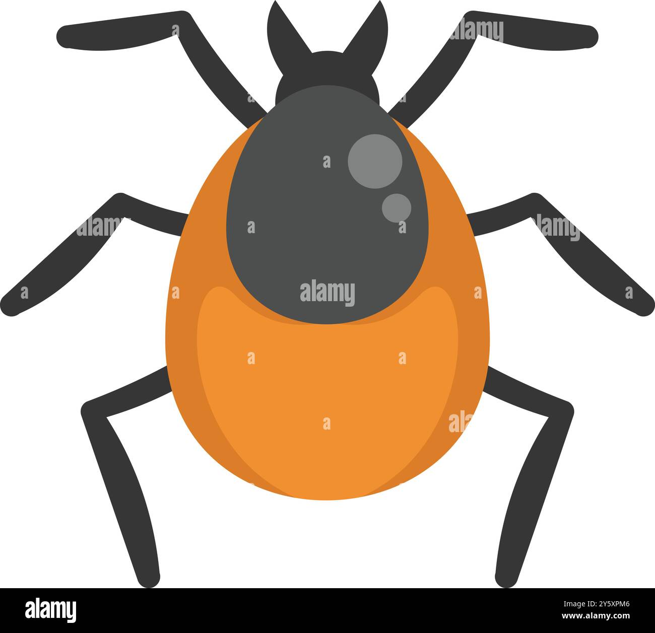 Small tick crawling on Stock Vector Images - Alamy