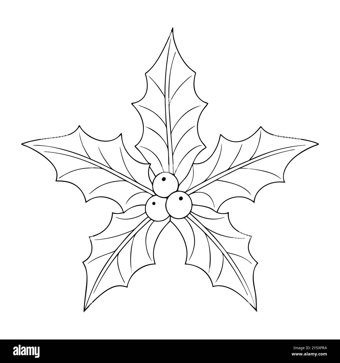 Christmas mistletoe outline icon. Hand drawn holly leaves and berries ...