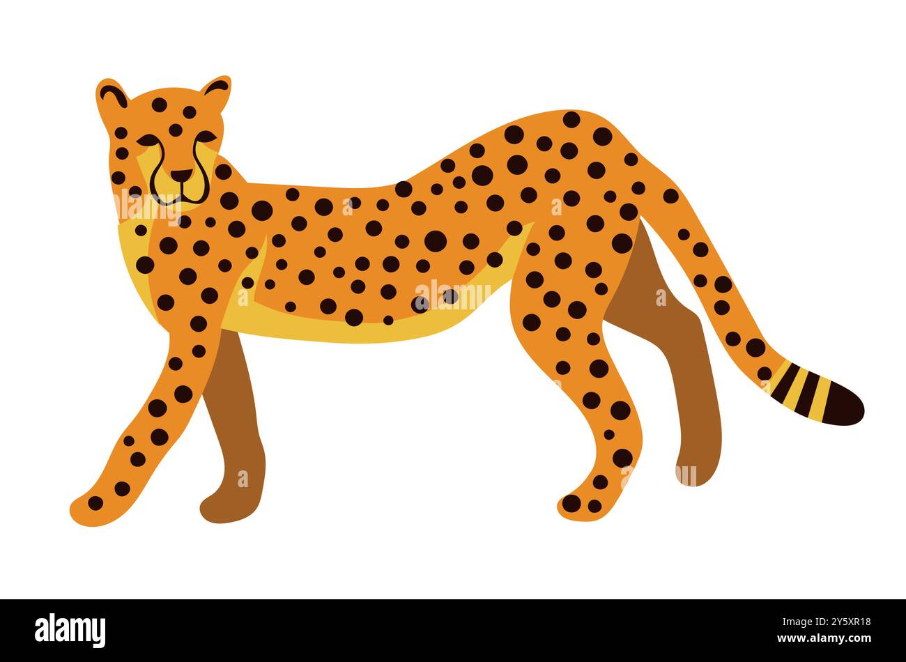 Cheetah Pootafdruk Clipart Cheetah Illustration Cut Out Stock Images