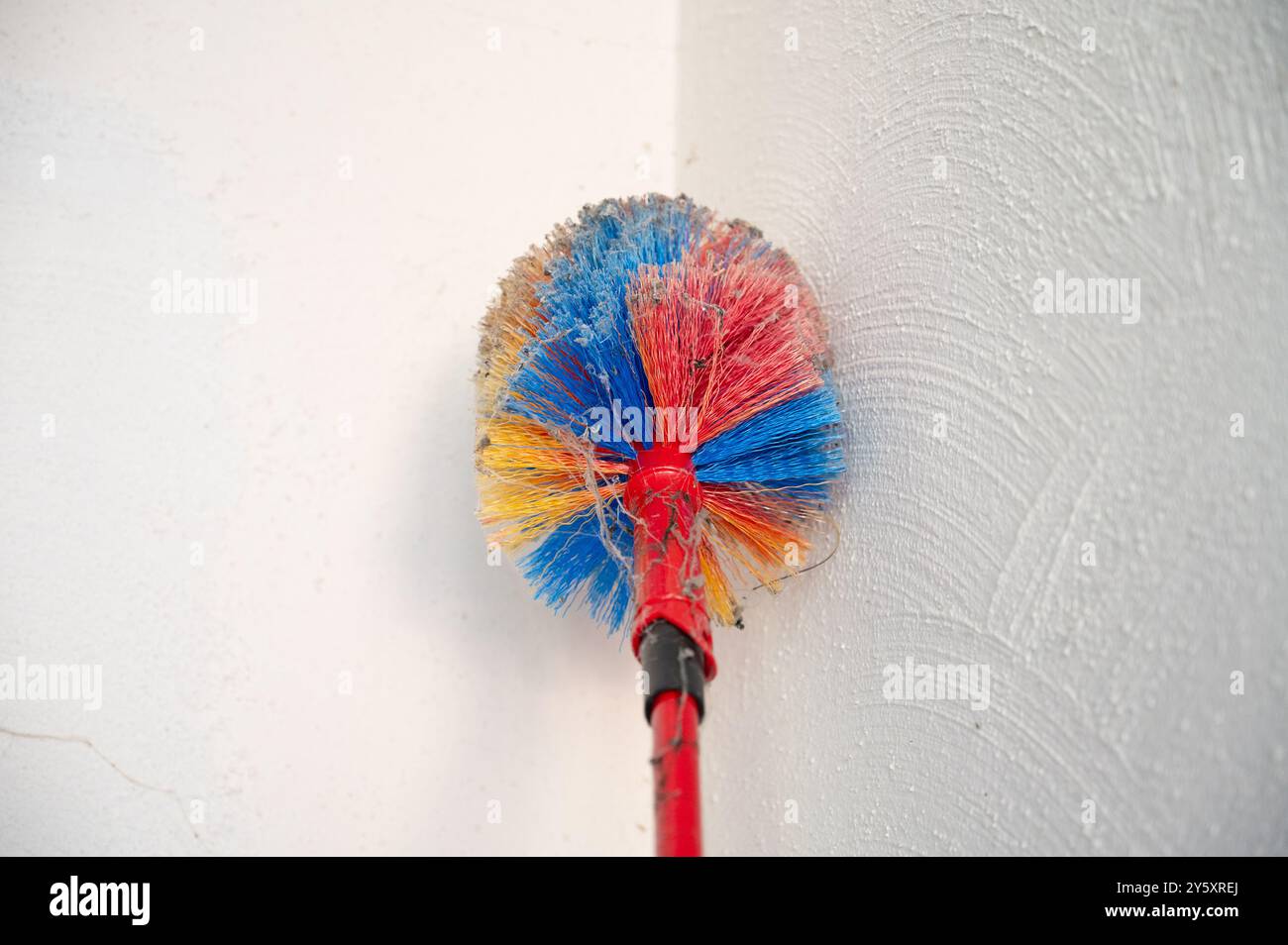 Remove cobwebs with a spider sweeper from the wall corner, cleaning at ...