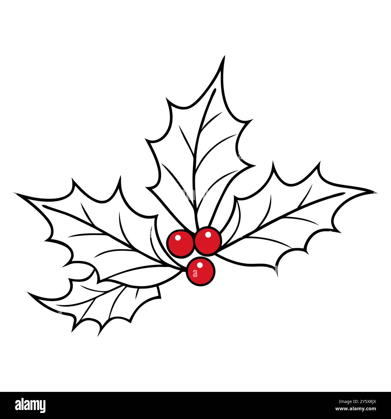 Christmas Holly Leaf Drawing