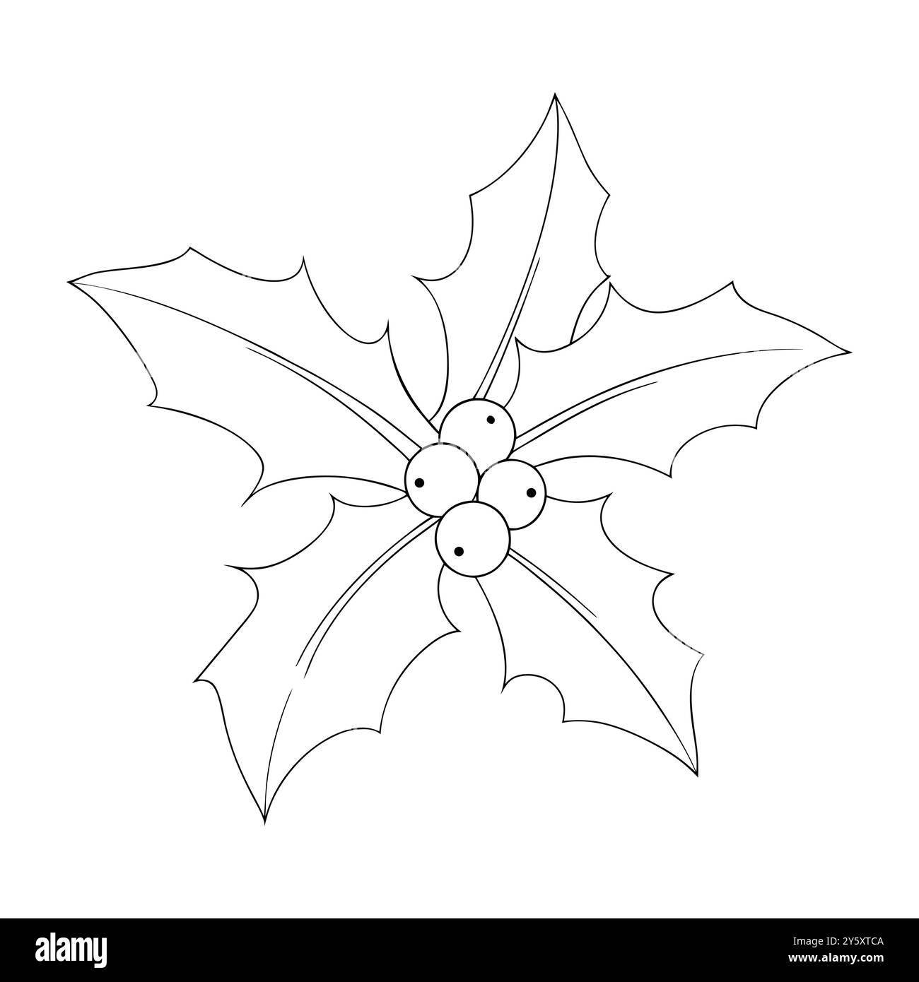 Christmas mistletoe outline icon. Hand drawn holly leaves and berries ...