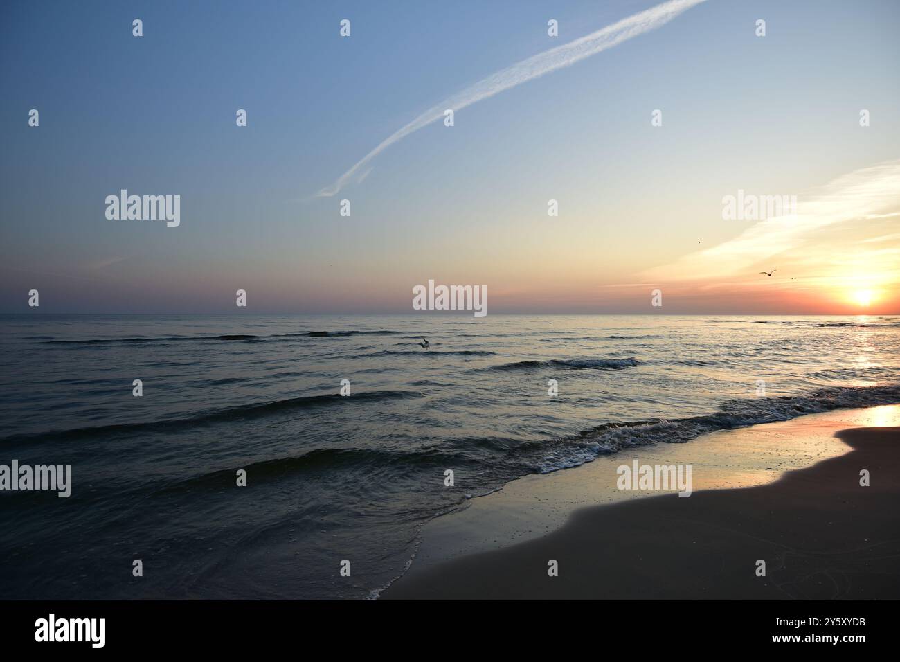 Baltic Sea beach in Jantar Stock Photo - Alamy