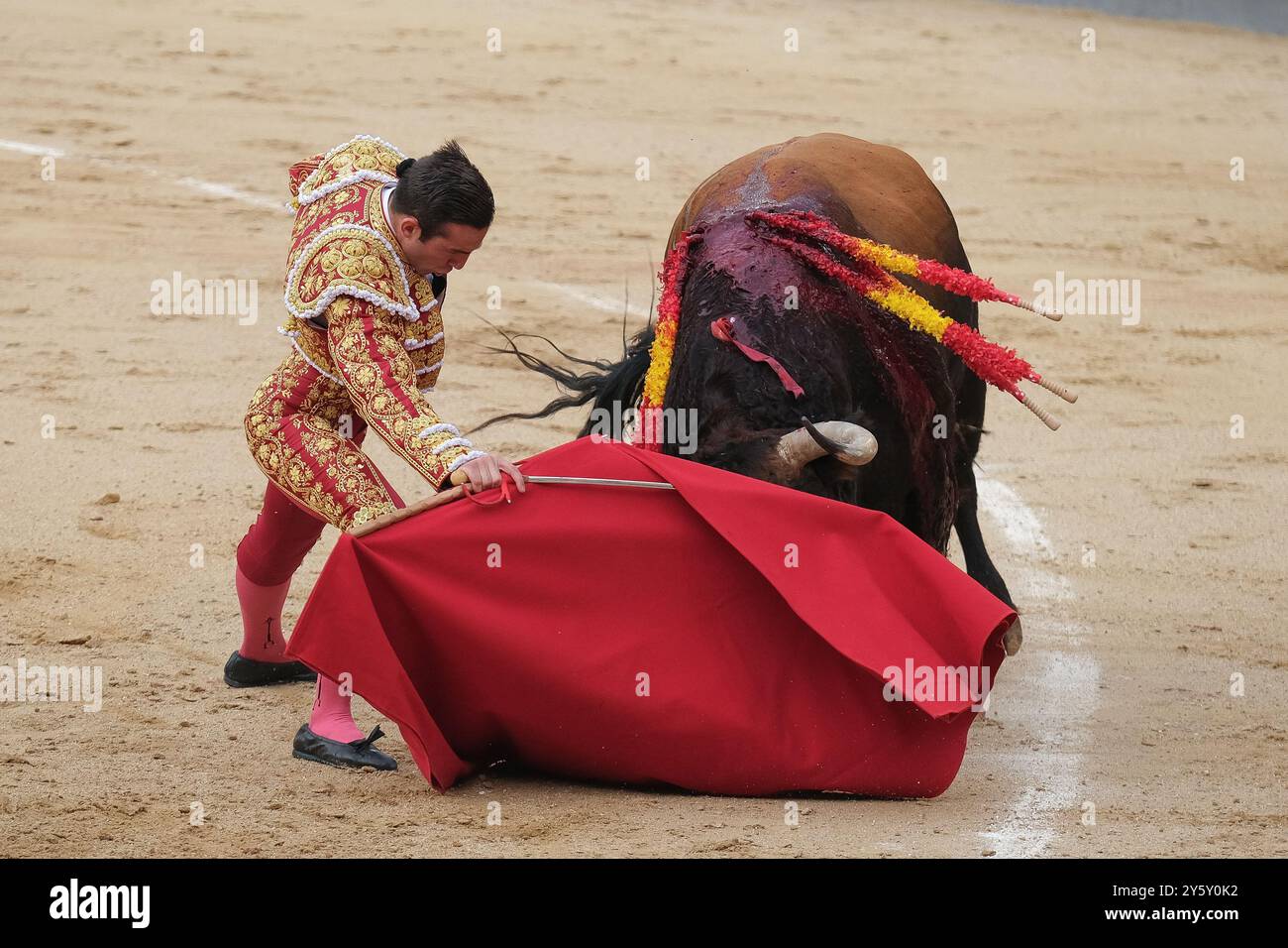 Bullfighter José Fernando Molina during the bullfight of Corrida de ...