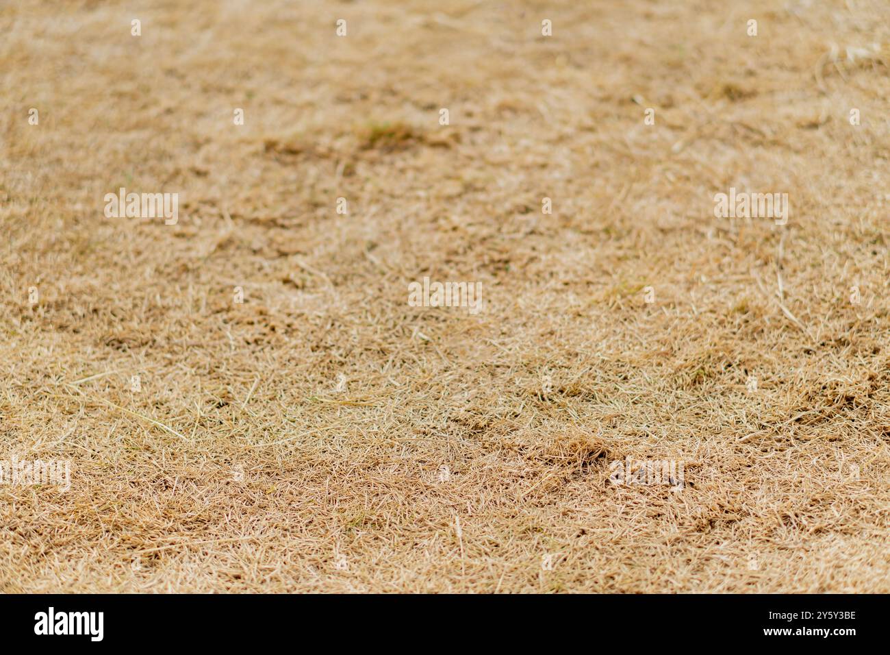 Dry plain during heat hi-res stock photography and images - Alamy