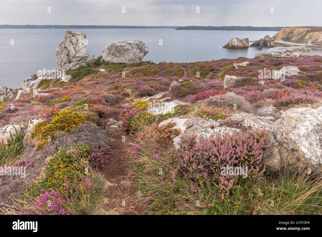 Landscape of the coast of the Iroise Sea. Camaret, Crozon, Finistere ...