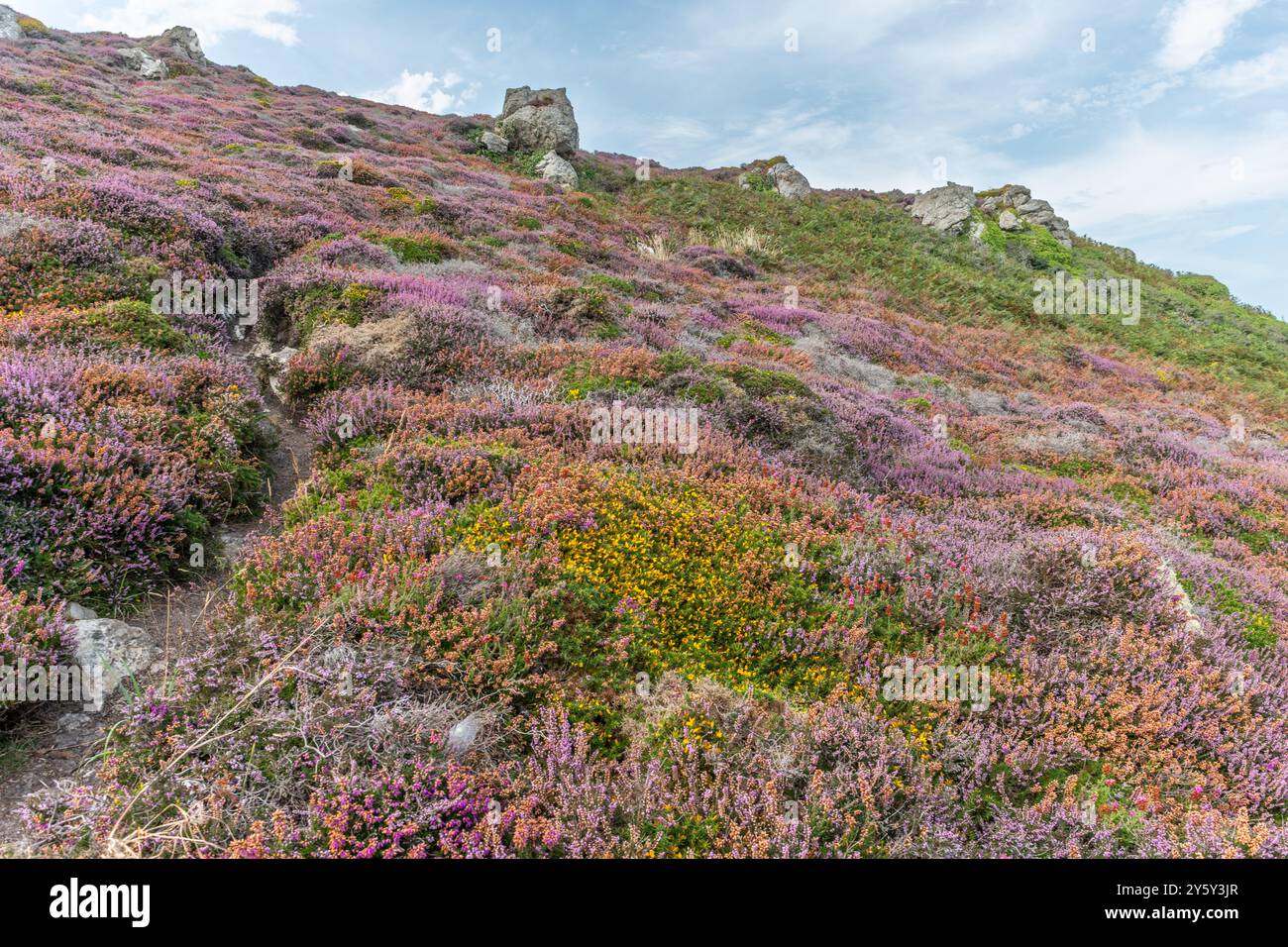 Landscape of the coast of the Iroise Sea. Camaret, Crozon, Finistere ...