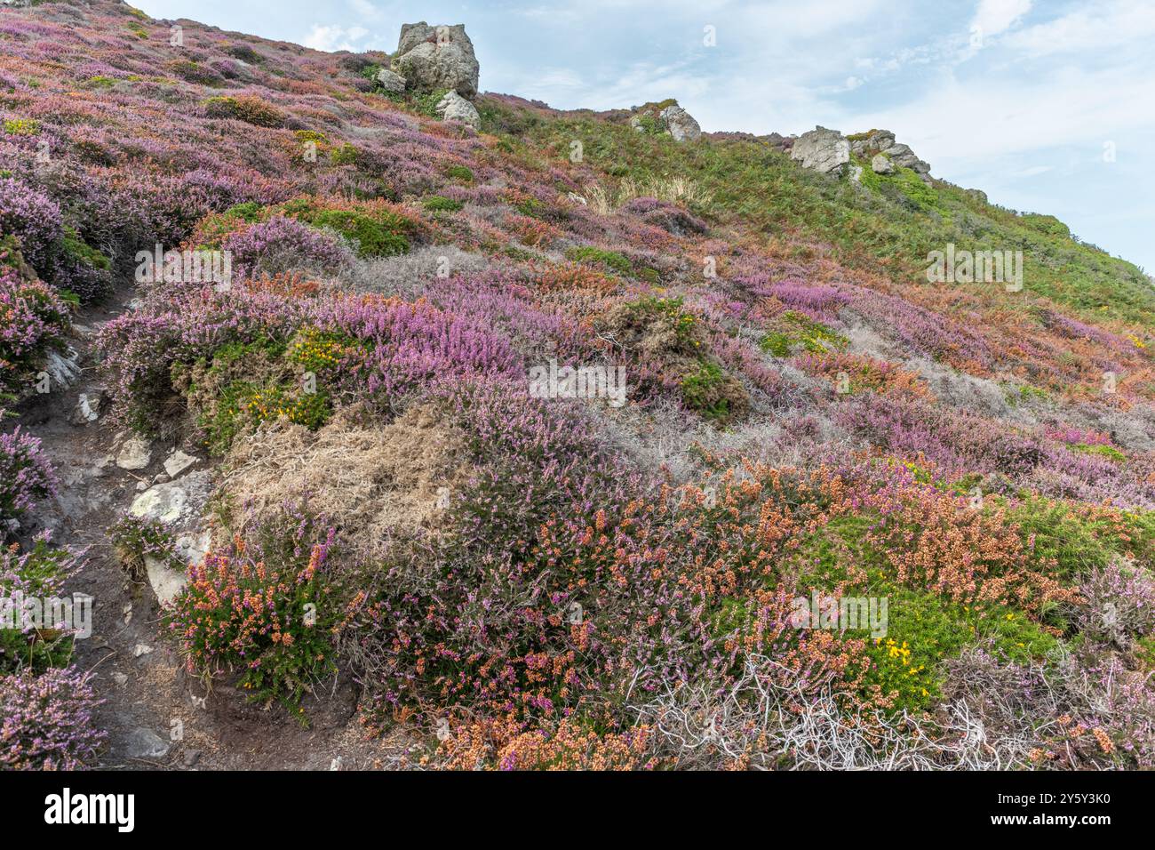 Landscape of the coast of the Iroise Sea. Camaret, Crozon, Finistere ...