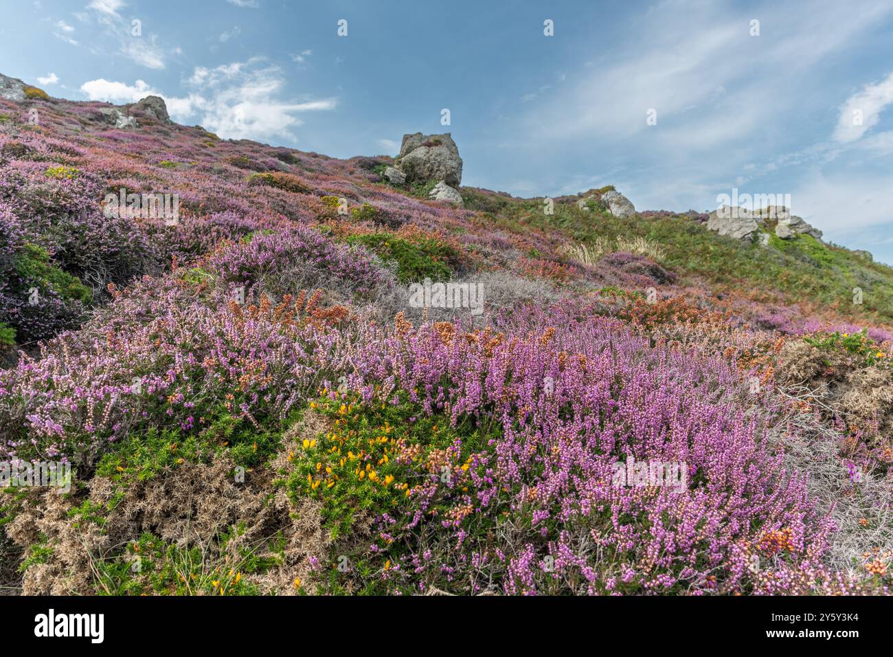 Landscape of the coast of the Iroise Sea. Camaret, Crozon, Finistere ...