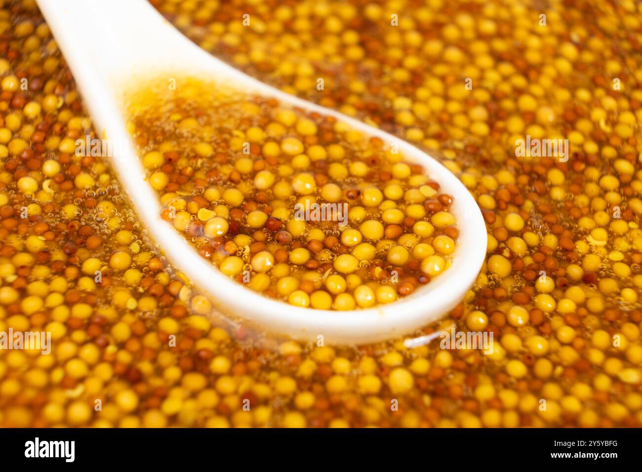 Traditional French Dijon mustard in a spoon on a white background Stock ...
