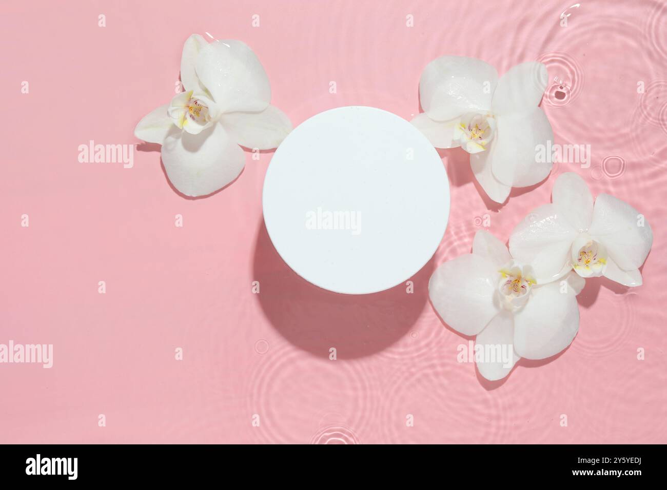 Beautiful orchid flowers and podium in water on pink background, flat ...