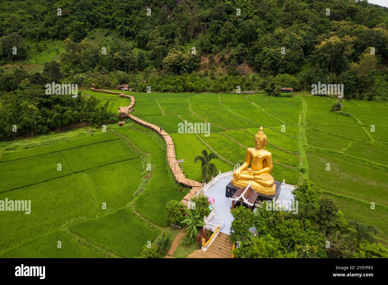 Aerial view of the Na Khuha temple surrended by green rice field, Phrae ...